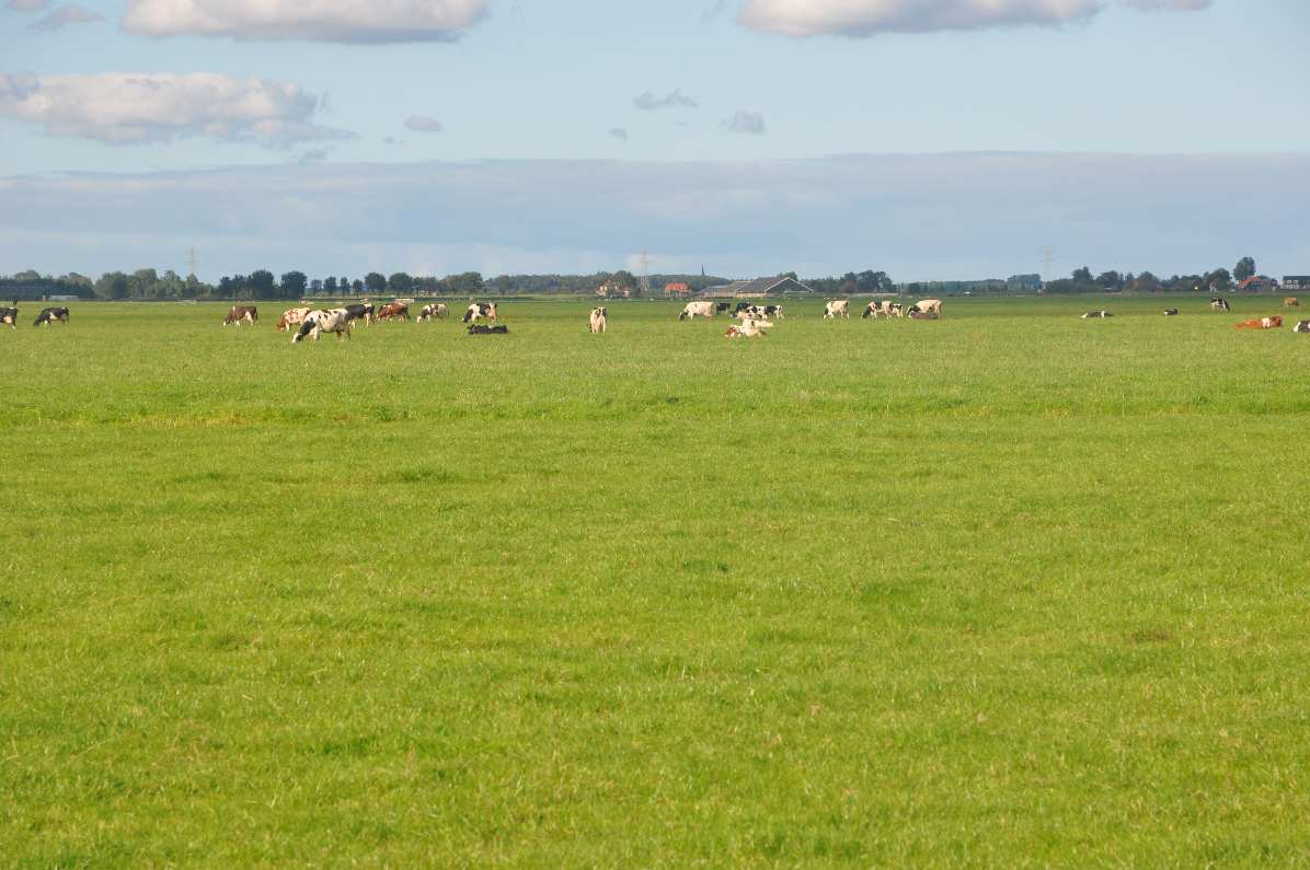 Landschap- en landschapsvorming in het Oer-IJ gebied